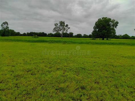 Beautiful Shot Of Indian Village Farm Nature Beauty Background Hd Photo