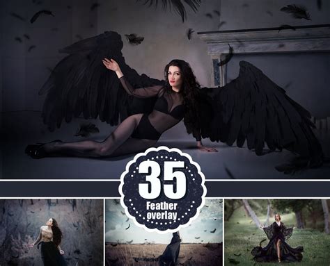 35 Black Feather Overlay Photoshop Overlay Angel Black Wing Flying