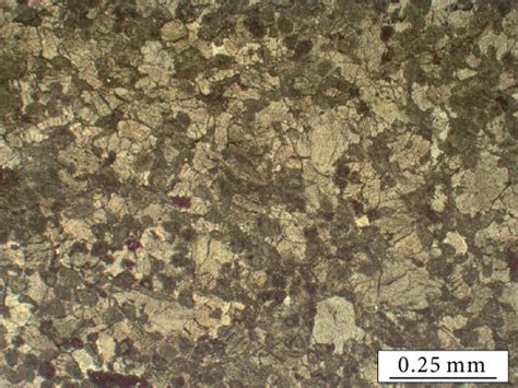 Main Microfacies Of Yingshan Formation In Tazhong Area Mf1 Mf9 A