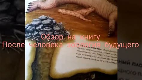 ОБЗОР НА КНИГУ ПОСЛЕ ЧЕЛОВЕКА ЗООЛОГИЯ БУДУЩЕГО ЧАСТЬ 2 - YouTube