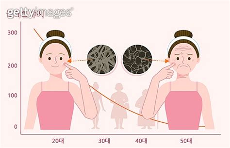 여성 뷰티 사람피부 주요신체부분 얼굴 사람머리 피부과 콜라겐 측정단위 묘사 그래프 나이 현미경사진