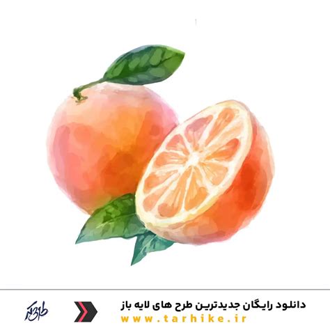 دانلود رایگان وکتور آبرنگی پرتقال 😍 طرحی که