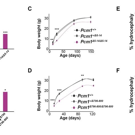 Figure Supplement 2 Pcm1 Δ5−14 And Pcm1 Δ796−800 Mice Exhibit