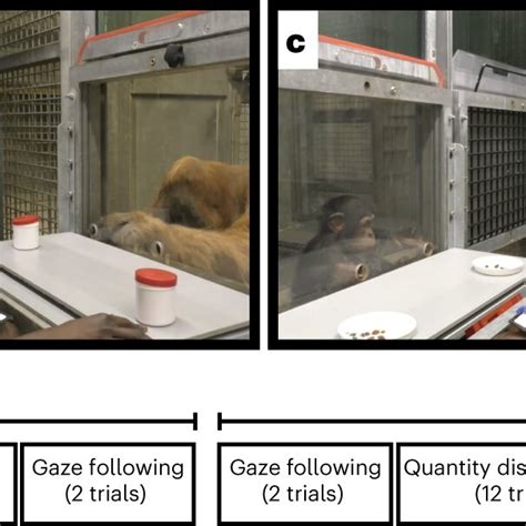 Latent State Trait Model Estimates And Correlations Between Latent Download Scientific Diagram