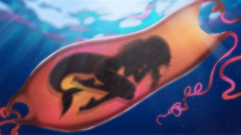 Egg Case Art Danbooru