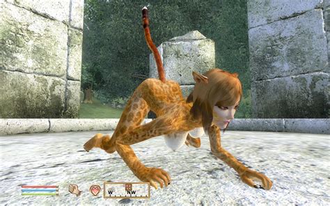 Post 296859 Khajiit Oblivion The Elder Scrolls Post 296859 Khajiit Oblivion The Elder Scrolls