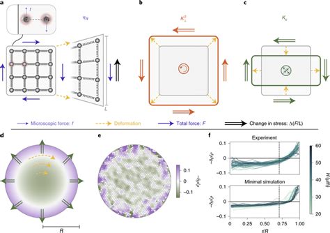 Odd Response In The Steady State A A Patch Of Material Built Of Download Scientific Diagram