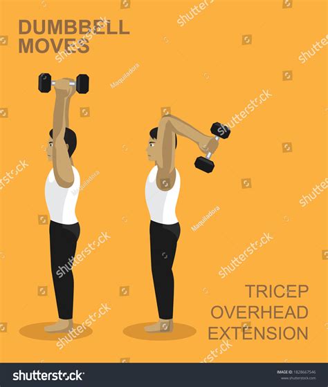 Dumbbell Overhead Extension