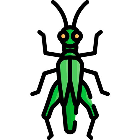 Grasshopper Special Lineal Color Icon
