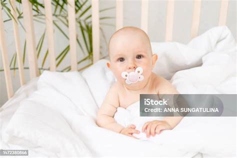 6개월 된 흰색 면 침대의 유아용 침대에 젖꼭지를 두른 여자 아기 2 5 개월에 대한 스톡 사진 및 기타 이미지 2 5 개월