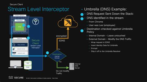 Hiding The Secure Client Aka Anyconnect Vpn Module Security Of