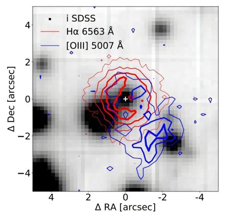 Cataclysmic Variable V1425 Aql Has An Arc Shaped Nova Shell