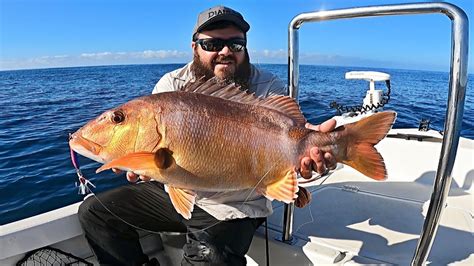 Red Steenbras Slow Pitch Jigging Youtube