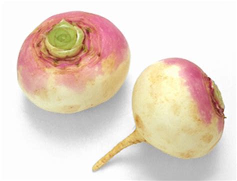Turnips Parsnips And Rutabagas In The Garden Hubpages