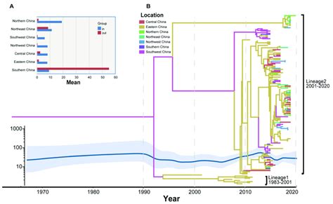 Temporal Phylogenetic Development Of Cvb5 A A Histogram Based On The Download Scientific