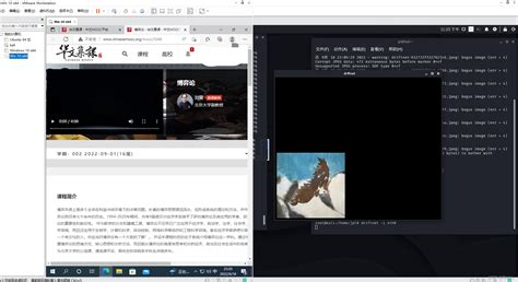 Arp欺骗攻击（流量and图片）——dsniff与driftnet使用 Dsniff命令 Csdn博客