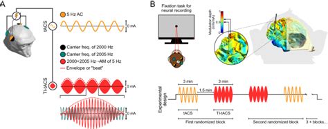 Temporal Interference Stimulation Disrupts Spike Timing In The Primate Brain Nature