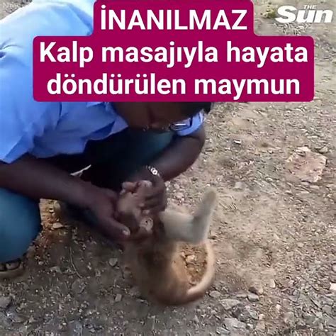Kalp Masajıyla Hayata Dönen Maymuncrp Youtube