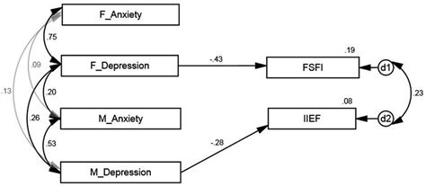 Actor Partner Interdependence Model With Psychological And Sexual
