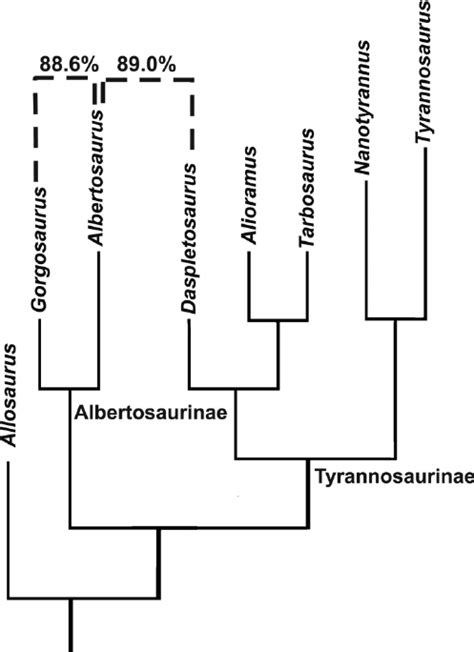 Daspletosaurus Vs Tarbosaurus Vs Albertosaurus