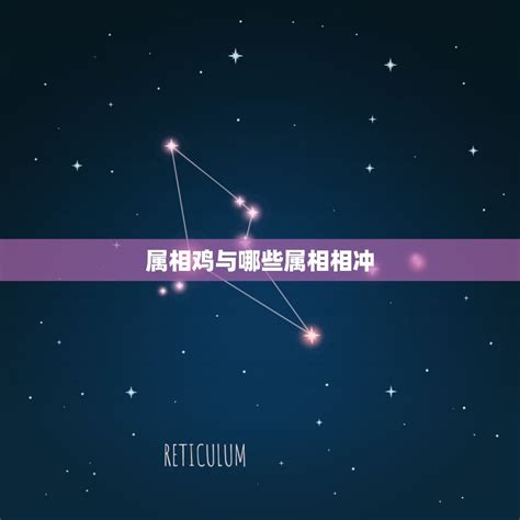 属相鸡与什么属相相冲你的属相是否与鸡相冲