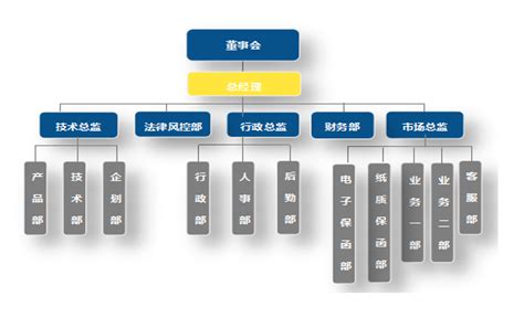 组织架构 云南中星瑞信融资担保有限公司