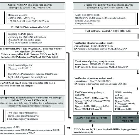 The Flow Chart Of Experimental Analysis Download Scientific Diagram
