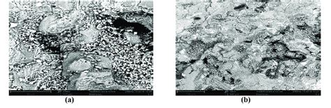 Microstructure Of The Surface Of The Standard Periclase Refractory Download Scientific Diagram