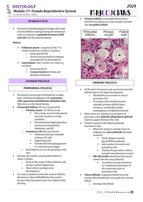 Solution Histology Female Reproductive System Studypool