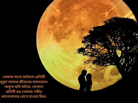 লাভ স্ট্যাটাস বাংলা ৭০ Love Status Bangla পিকচার ২০২৫