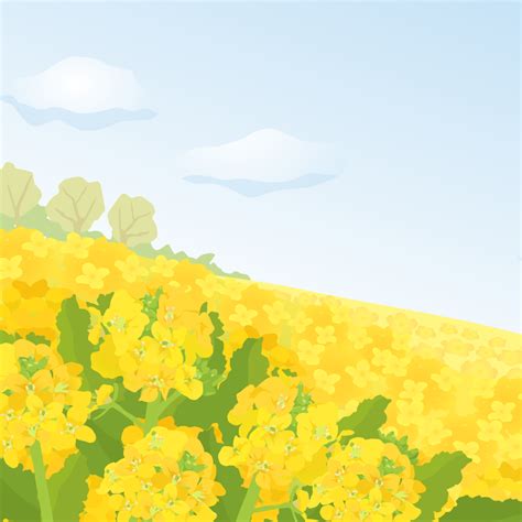 積みくずし Dlチャンネル みんなで作る二次元情報サイト！