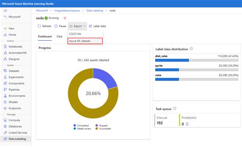 Module 11 Data Labeling Project Machine Learning On Azure