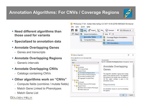 Comprehensive Clinical Workflows For Copy Number Variants In Varseq Pdf