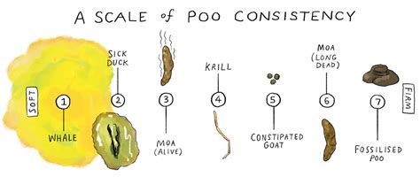 The Power Of Poo New Zealand Geographic