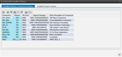 martin maruskin blog something about sap upgrade of sap abap