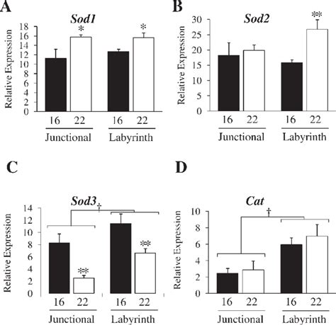 Zonal Expression Of Sod1 A Sod2 B Sod3 C And Cat D Mrnas At