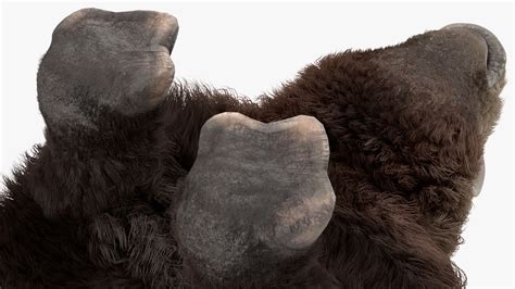 Elasmatherium Siberian Unicorn Neutral Pose Fur 3d Model 149 Max