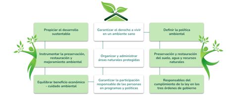 Clase Digital 5 Leyes Reglamentos Y Normas En Materia De