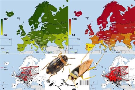 A Pan European Analysis Of Dna Barcoding Data On Aquatic Beetles And Bugs Aquabol Sk