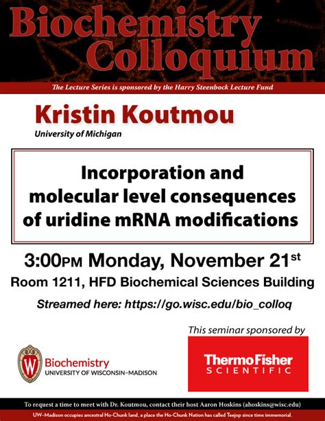 Incorporation And Molecular Level Consequences Of Uridine Mrna