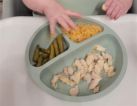 Dinner For My Almost 10 Months Old He Licked The Plate Clean