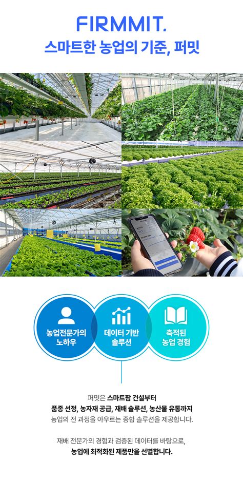 질산칼슘 10수염 25kg 질산태질소 관주용 수용성 복합비료 Nk비료 퍼밋몰