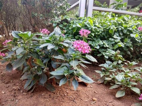 Xiaomi Redmi Note Review Setting The Benchmark For The Budget Segment Android Central