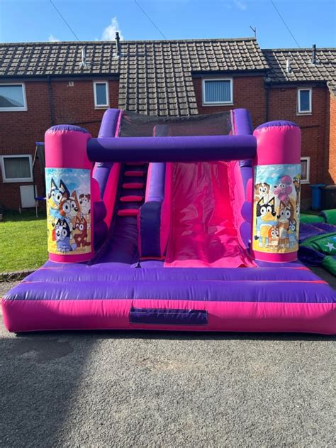 Bluey Pink And Purple 5ft 6 Platform Slide Tiny Tots Inflatables