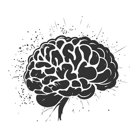 Un dibujo en blanco y negro de un cerebro con ilustración de estilo de