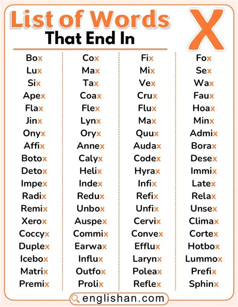Words That End In X Essential List For Learners