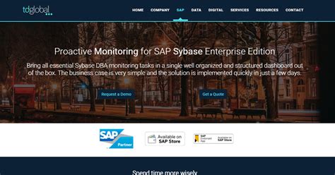 Proactive Monitoring For Sap Sybase Tdglobal