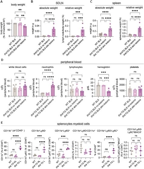 Epidermal Ifnκ Increases Circulating And Cutaneous Monocytes In A C57