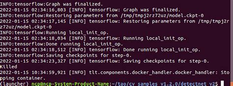 Error When Using Tao Tool To Train Detectnetv2 Detection Model Tao Toolkit Nvidia Developer