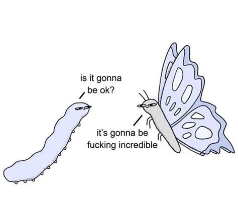 Eggirl Is It Gonna Be Ok Its Gonna Be Fucking Incredible
